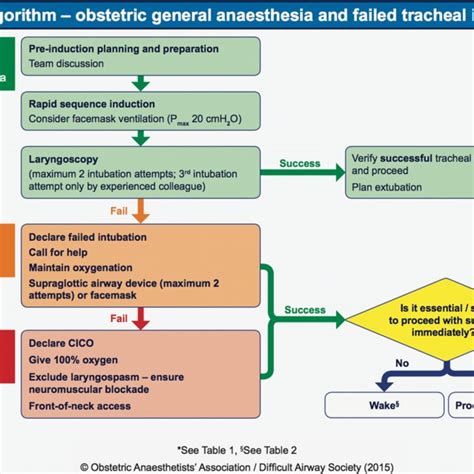 OAA DAS Obstetric Airway Guidelines 2015Master Algorithm Reproduced Download Scientific