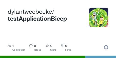 GitHub Dylantweebeeke TestApplicationBicep