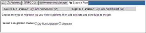 Migration Execution Process
