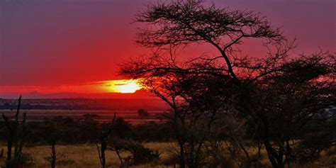 Marriott Spots Serengeti Signing Dorcas Dlamini Mbele