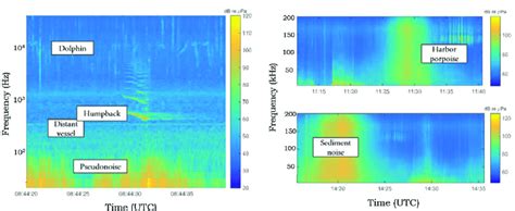 Sample Spectrograms Frequency Time Representation Of Sound Intensity