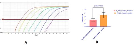 A K Ras Gene Amplification Plot In Tumor Tissue Compared To U6 Gene