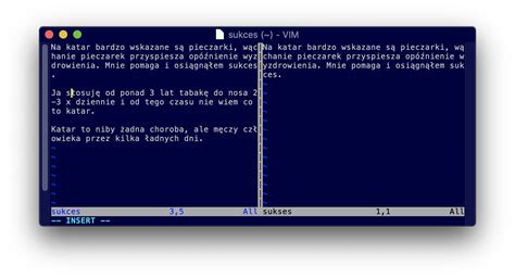 mouse cursor in insert mode is almost invisible on dark background on