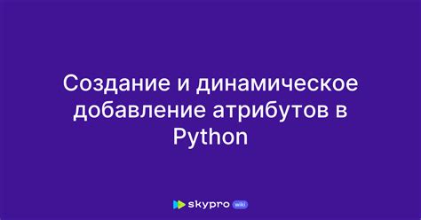 Создание и динамическое добавление атрибутов в python