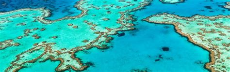 Coastal Barrier Resources Act Explained Neptune Flood