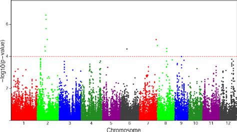 Manhattan Plot Using Robust Gwas Rgwas On The Trait Of Rice Flowering Download Scientific