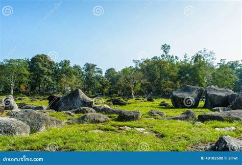 Field Of Rocks At Tamara Juarez Blog