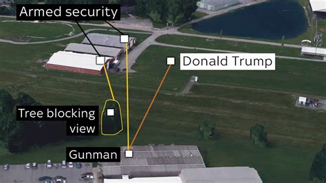 Trump Assassination Attempt How A Large Tree May Have Shielded Trump