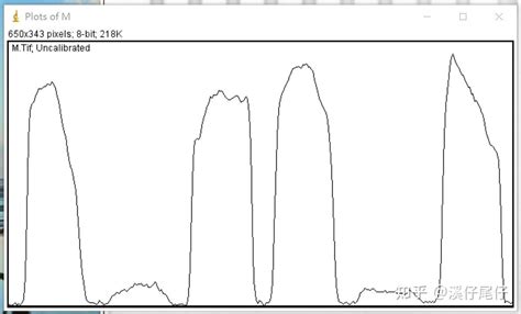 如何使用image J进行条带灰度分析？ 知乎