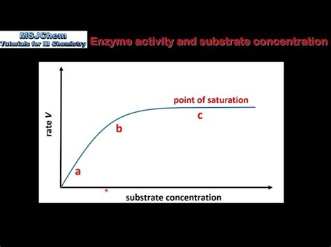 enzyme substrate graph