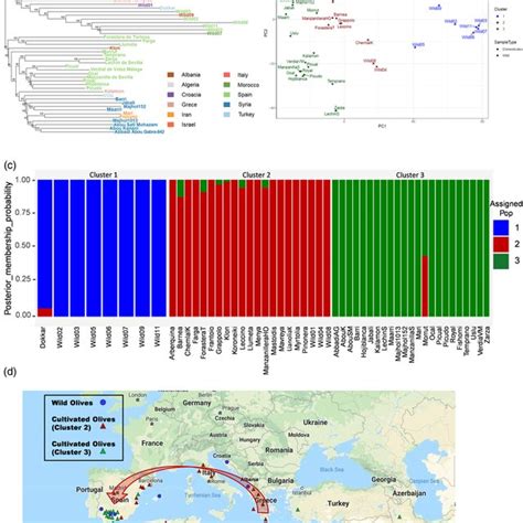 Phylogeny Principal Components And Geographic Distribution Of