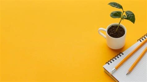 High Angle Plant And Notebook Frame Free Photo