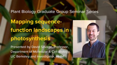 Plant Biology Graduate Group Mapping Sequence Function Landscapes In