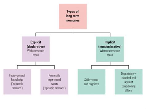 Declarative Memory Chart