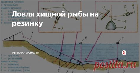 Снасть резинка для рыбалки: подробное описание ее сборки с нуля, ловля ...