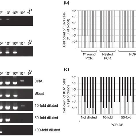 Comparison Of Nested Pcr And Pcr Db Sensitivity To Assess Pcr Method