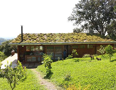 Pico Projects Photos Videos Logos Illustrations And Branding On Behance