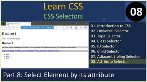 Css Selectors Part 8 Attribute Selector Css Tutorials 08 Youtube