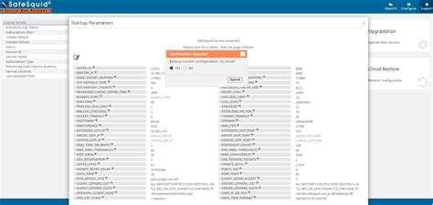 how to setup configuration sync in a safesquid proxy cluster