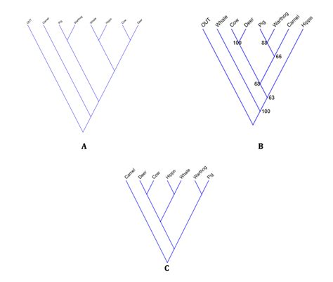 Solved Explain The Parsimonious Tree Indicated In The