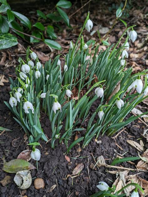 Sarah Parker On Linkedin I Love This Garden But This Visit Was More Of A Tidy Up But Was Very