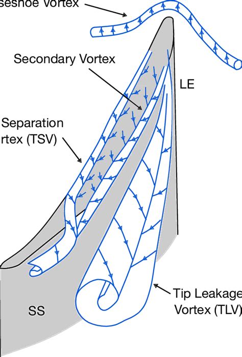 4 Sketch Of The Vortex Structure Around The Tip Adapted From Kang And