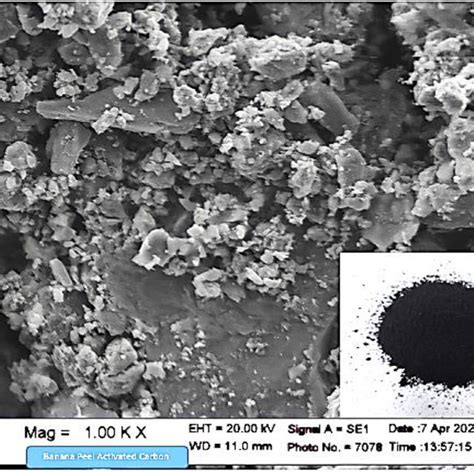 1 Sem Image Of Banana Peel Activated Carbon With 9927 Adsorption At