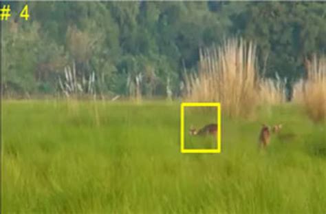 Object Detection From Cluttered Image Amrita Vishwa Vidyapeetham