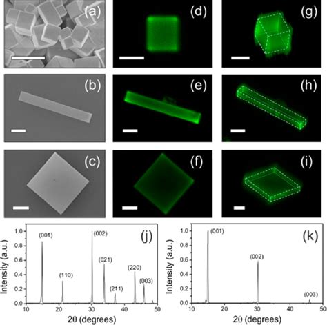 Scanning Electron Microscopy Images A−c Pl Images D−f And Download Scientific Diagram