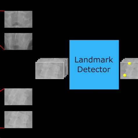 proposed framework the input images are first passed to an object