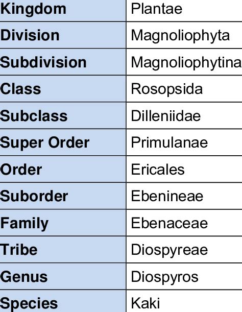 Botanical Classification Download Table