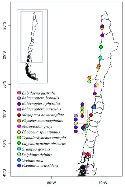 Geographic Distribution Of The 33 Stranded Cetacean Samples For Which Download Scientific