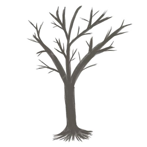 The Tree Trunk Has Bare Roots Tree Forest Trunk PNG Transparent Clipart Image And PSD File
