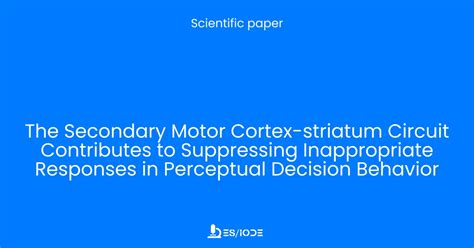 Scientific Research The Secondary Motor Cortex Striatum Circuit