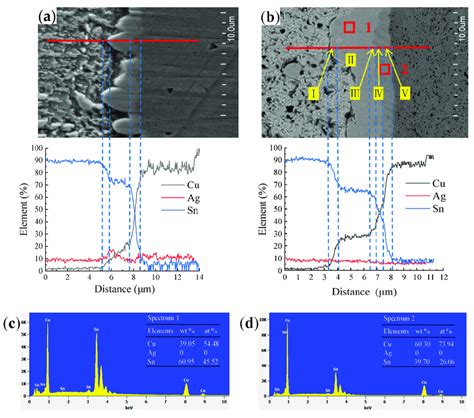 Representative Sem Micrographs Showing The Interface Layer Growth And