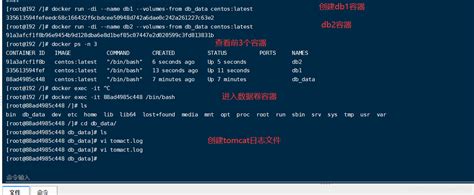 docker数据卷实现数据共享 docker共享数据卷 csdn博客