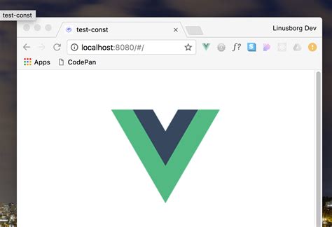 Files From Static Folder Not Found In Dev Issue Vuejs