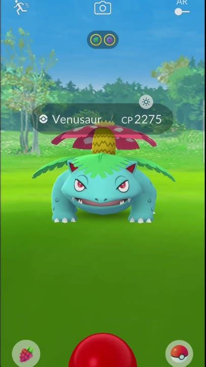 When Blastoise Gets To Blasting🔫 Pokemom Go Youtube