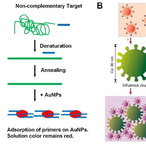 Schematic Depictions Of Solution Based Plasmonic Detection Methods