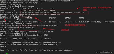 Docker安装mysql57开启binlog功能、修改字符docker安装mysql5726并开启二进制日志文件 Csdn博客