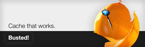 How To Force Browser To Clear Cache In WordPress