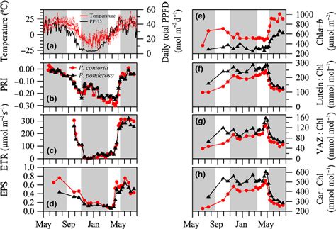 The Photochemical Reflectance Index Provides An Optical Indicator Of Spring Photosynthetic