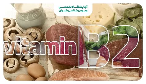 انواع ویتامین که برای بدن ضروری هستند را بشناسید