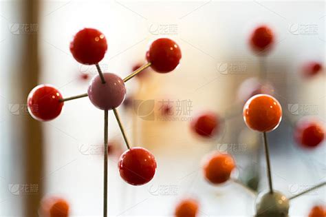 Dna分子实验室实验室测试