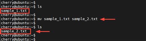 How To Rename Files In Linux Using Mv And Rename Commands Cherry Servers