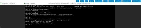 RHEL How To Install Or Reinstall RPM Packages In Red Hat Linux S Rescue Mode Dell US