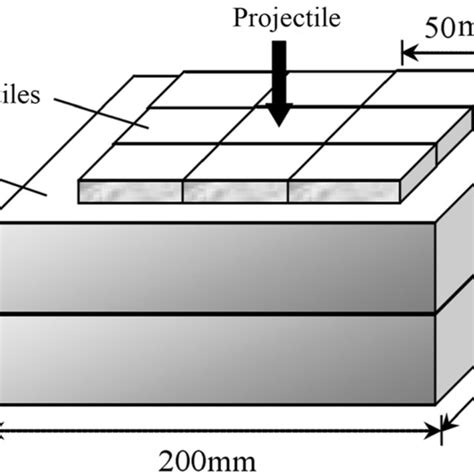 Schematic Diagram Of The Experiment Of Projectile Target System Madhu