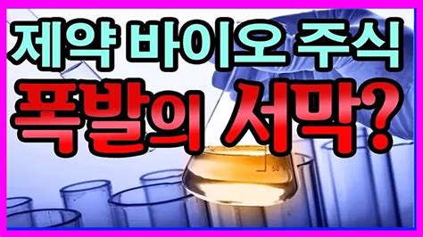 제약바이오 대장주식 상승 폭발 1등 주식은 Hlb 유한양행 셀트리온 삼성바이오로직스 Sk바이오팜 비교 분석 주가 전망 Youtube