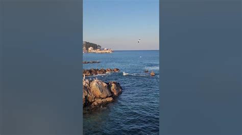 대한민국영덕겨울바다갈매기파도 Youtube