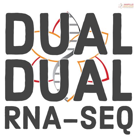 amaryllis nucleics adds dual indexing capabilities to its dual mode